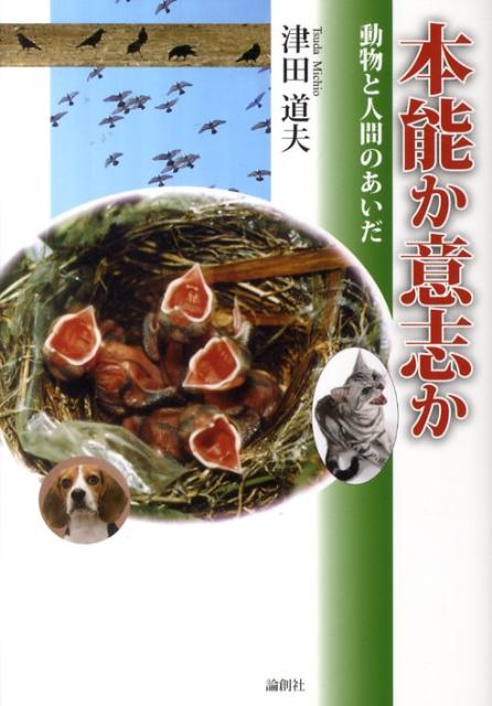 動物と人間のあいだ 津田道夫 論創社ホンノウ カ イシ カ ツダ,ミチオ 発行年月：2011年06月 ページ数：203p サイズ：単行本 ISBN：9784846008048 津田道夫（ツダミチオ） 1929年、埼玉県に生まれる。東京教育大...