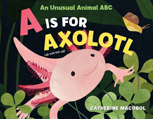 A IS FOR AXOLOTL AN UNUSUAL AN Catherine Macorol Catherine Macorol HENRY HOLT2022 Hardcover English ISBN：9781250108104 洋...