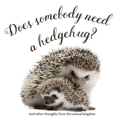 DOES SOMEBODY NEED A HEDGEHUG ー GIBBS SMITH PUB2017 Hardcover English ISBN：9781423648109 洋書 Fiction & Literature（小説＆文芸） ...