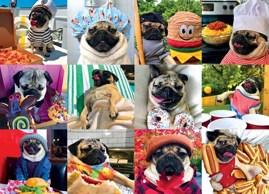 DOUG THE PUG PUG LIFE 1000ーPIE Leslie Mosier WILLOW CREEK PR2018 Other English ISBN：9781682348185 洋書 Fiction & Literatur...