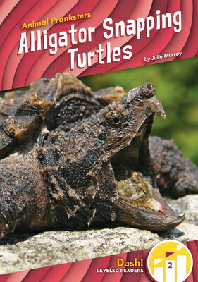 ALLIGATOR SNAPPING TURTLES Animal Pranksters Julie Murray DASH2022 Library　Binding English ISBN：9781098228323 洋書 Books f...