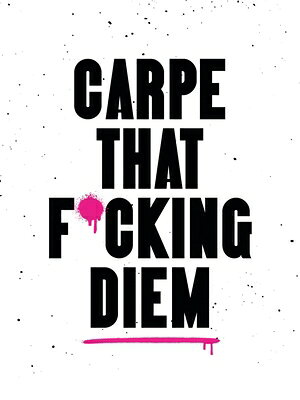 CARPE THAT FーCKING DIEM Summersdale Publishers SUMMERSDALE PUBL2026 Hardcover English ISBN：9781837998326 洋書 Reference & ...