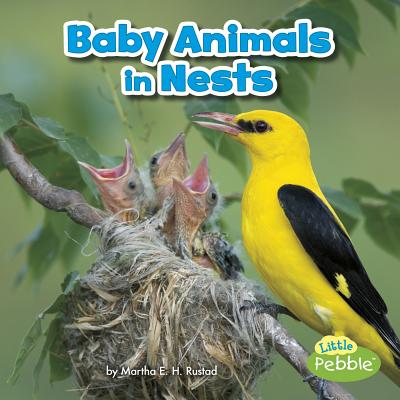 BABY ANIMALS IN NESTS Baby Animals and Their Homes Martha E. H. Rustad CAPSTONE PR2017 Hardcover English ISBN：9781515738...