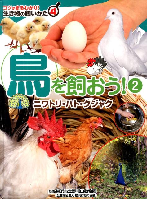 コツがまるわかり！ 鳥を飼おう！ 2　ニワトリ・ハト・ ポプラ社BKSCPN_【高額商品】 イキモノ ノ カイカタ 発行年月：2014年04月 ページ数：55p サイズ：図鑑 ISBN：9784591138366 ニワトリの飼いかた（ニワト...