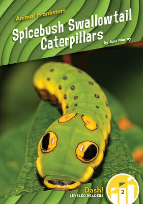 SPICEBUSH SWALLOWTAIL CATERPIL Animal Pranksters Julie Murray DASH2022 Library　Binding English ISBN：9781098228378 洋書 Boo...
