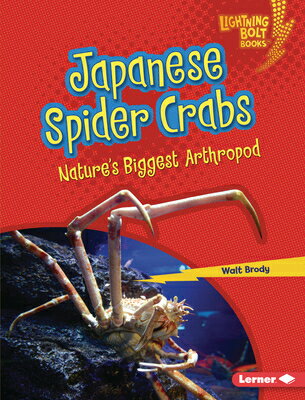JAPANESE SPIDER CRABS Lightning Bolt Books (R) ーー Nature's Most Massive Animals Walt Brody LERNER PUBN2024 Library　Bindi...