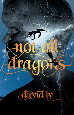 NOT ALL DRAGONS David Ly POPLAR PR2026 Paperback English ISBN：9781998408429 洋書 NonーClassifiable（その他）