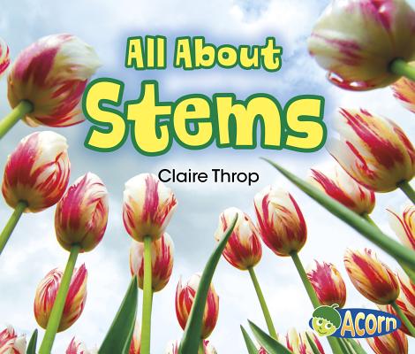 ALL ABT STEMS REV/E All about Plants Claire Throp HEINEMANN LIB2016 Paperback Revised English ISBN：9781484638507 洋書 Book...