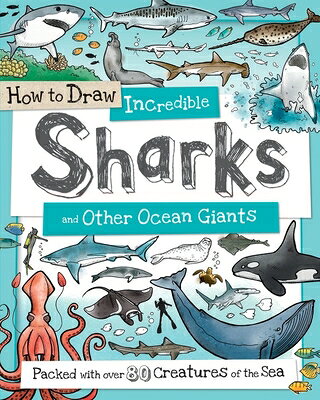 HT DRAW INCREDIBLE SHARKS & OT How to Draw Fiona Gowen Paul Calver Toby Reynolds BES PUB2016 Paperback English ISBN：9781...