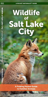 WILDLIFE OF SALT LAKE CITY Nature Observation North America J. M. Kavanagh WATERFORD PR2026 Hardcover English ISBN：97816...