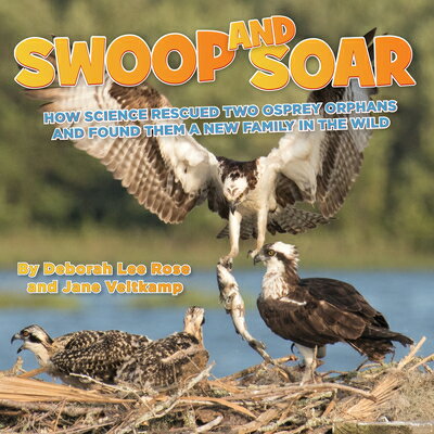 SWOOP & SOAR Deborah Lee Rose Jane Veltkamp PERSNICKETY PR2022 Hardcover English ISBN：9781943978564 洋書 Computers & Scien...