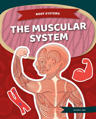MUSCULAR SYSTEM Body Systems Amy C. Rea KIDS CORE2022 Library　Binding English ISBN：9781532198601 洋書 Books for kids（児童書） ...
