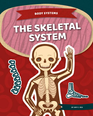 SKELETAL SYSTEM Body Systems Amy C. Rea KIDS CORE2022 Library　Binding English ISBN：9781532198632 洋書 Books for kids（児童書） ...