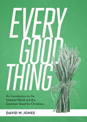 EVERY GOOD THING David W. Jones LEXHAM PR2024 Paperback English ISBN：9781683598633 洋書 Social Science（社会科学） Religion