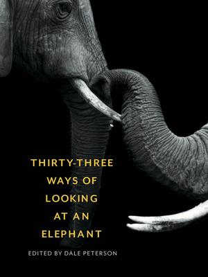 30ー3 WAYS OF LOOKING AT AN ELE Dale Peterson TRINITY UNIV PR2020 Paperback English ISBN：9781595348661 洋書 Computers & Sci...