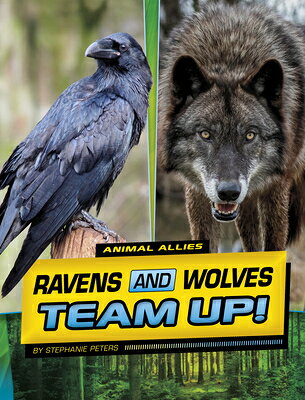 RAVENS & WOLVES TEAM UP Animal Allies Stephanie True Peters CAPSTONE PR2023 Paperback English ISBN：9781669048671 洋書 Book...