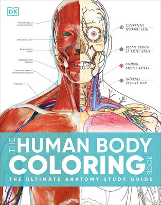 HUMAN BODY COLOR BK DK Human Body Guides DK DK PUB2024 Paperback English ISBN：9780744098679 洋書 Family life & Comics（生活＆コ...