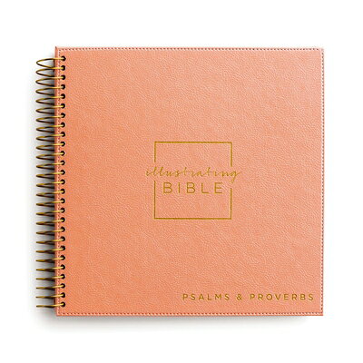 ILLUSTRATING BIBLE NIV BKS OF Dayspring DAYSPRING2020 Spiral English ISBN：9781644548721 洋書 NonーClassifiable（その他）