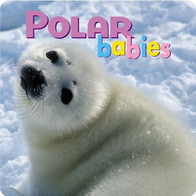 POLAR BABIESーBOARD Animal Babies Kristen McCurry NORTHWORD BOOKS FOR Y2003 Board　Books English ISBN：9781559718752 洋書 Boo...