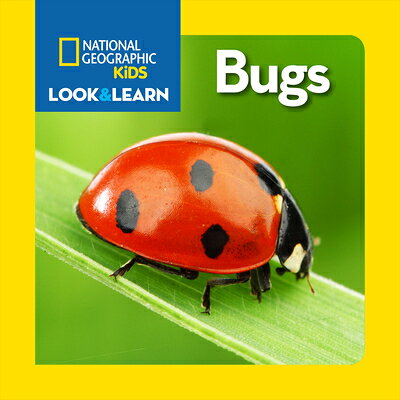 NATL GEO KIDS LOOK & LEARN BUG Look & Learn National Geographic Kids NATL GEOGRAPHIC SOC2015 Board　Books English ISBN：97...