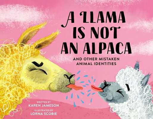 LLAMA IS NOT AN ALPACA Karen Jameson Lorna Scobie RUNNING PR KIDS2023 Hardcover English ISBN：9780762478781 洋書 Books for ...