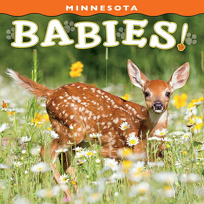 MINNESOTA BABIES Babies! Farcountry Press FARCOUNTRY PR2025 Board　Books English ISBN：9781560378792 洋書 Books for kids（児童書...