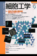 学研メディカル秀潤社 Gakkenサイボウ コウガク ニセンイチネン クガツゴウ 発行年月：2001年08月 ページ数：100p サイズ：全集・双書 ISBN：9784879628541 本 科学・技術 生物学