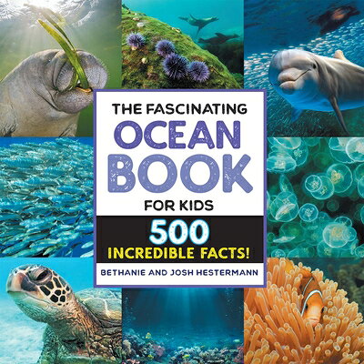 FASCINATING FACTSFASCINATING O Fascinating Facts Bethanie Hestermann Josh Hestermann ROCKRIDGE PR2021 Paperback English ...
