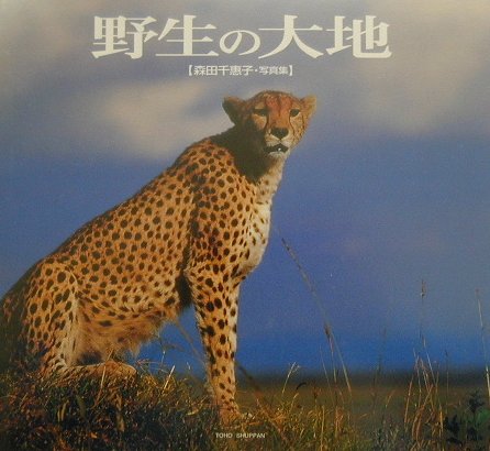 森田千惠子・写真集 森田千惠子 東方出版（大阪）ヤセイ ノ ダイチ モリタ,チエコ 発行年月：2001年10月 ページ数：94p サイズ：単行本 ISBN：9784885917509 森田千恵子（モリタチエコ） 1960年長男誕生と同時に3...