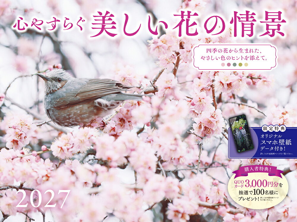 MdNカレンダー2027 NEO HIMEISM インプレスココロヤスラグウツクシイハナノジョウケイカレンダーニセンニジュウナナ　シキノハナカラウマレタ　ヤサシイイロノヒントヲソエテ ネオヒメイズム 発行年月：2026年09月10日 予約締...