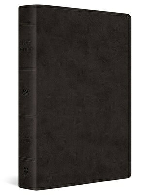 ESV GP VALUE THINLINE BIBLE (T Esv Bibles CROSSWAY BOOKS2026 Imitation　Leather English ISBN：9798874908935 洋書 NonーClassif...