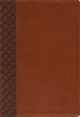 BーAMーZON BUR LP Zondervan ZONDERVAN2026 Imitation　Leather English ISBN：9780310468936 洋書 NonーClassifiable（その他）