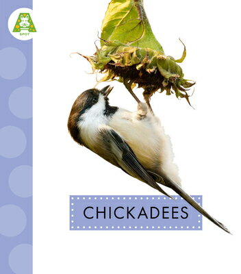 CHICKADEES Spot Backyard Birds Anastasia Suen AMICUS INK2026 Paperback English ISBN：9798892008976 洋書 Books for kids（児童書）...