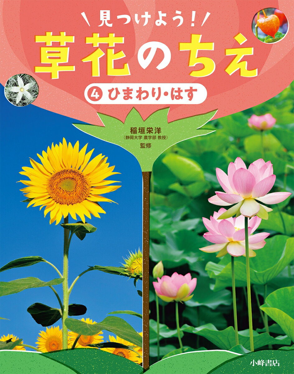見つけよう！　草花のちえ　4 稲垣栄洋 小峰書店ヒマワリハス イナガキヒデヒロ 発行年月：2022年04月11日 予約締切日：2022年04月10日 ページ数：32p サイズ：全集・双書 ISBN：9784338349048 稲垣栄洋（イナ...