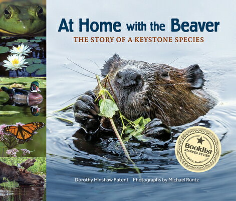 AT HOME W/THE BEAVER Story of a Keystone Species Dorothy Hinshaw Patent Michael Runtz WEB OF LIFE CHILDRENS BOOKS2023 Pa...