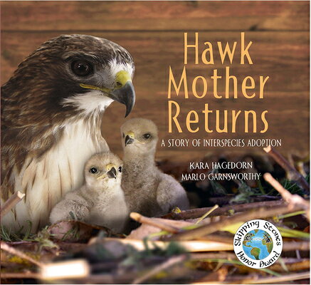 HAWK MOTHER RETURNS Hawk Mother Kara Hagedorn Marlo Garnsworthy WEB OF LIFE CHILDRENS BOOKS2024 Hardcover English ISBN：9...
