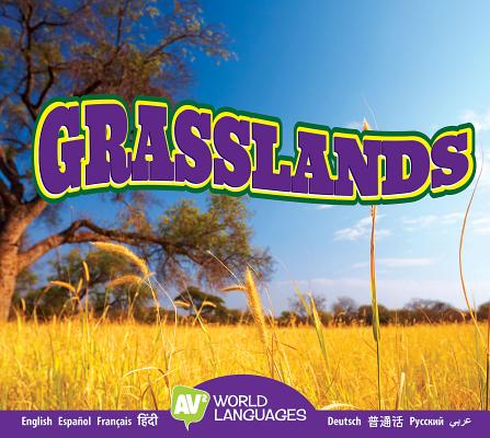 GRASSLANDS World Languages Alexis Roumanis LIGHTBOX LEARNING2018 Library　Binding English ISBN：9781489669131 洋書 Books for...