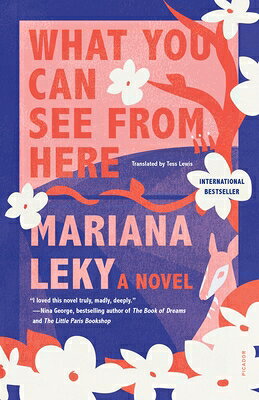 WHAT YOU CAN SEE FROM HERE Mariana Leky Tess Lewis PICADOR2022 Paperback English ISBN：9781250849168 洋書 Fiction & Literat...