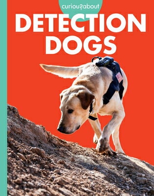 CURIOUS ABT DETECTION DOGS Curious about Working Dogs Cari Meister AMICUS INK2026 Paperback English ISBN：9798892009195 洋...
