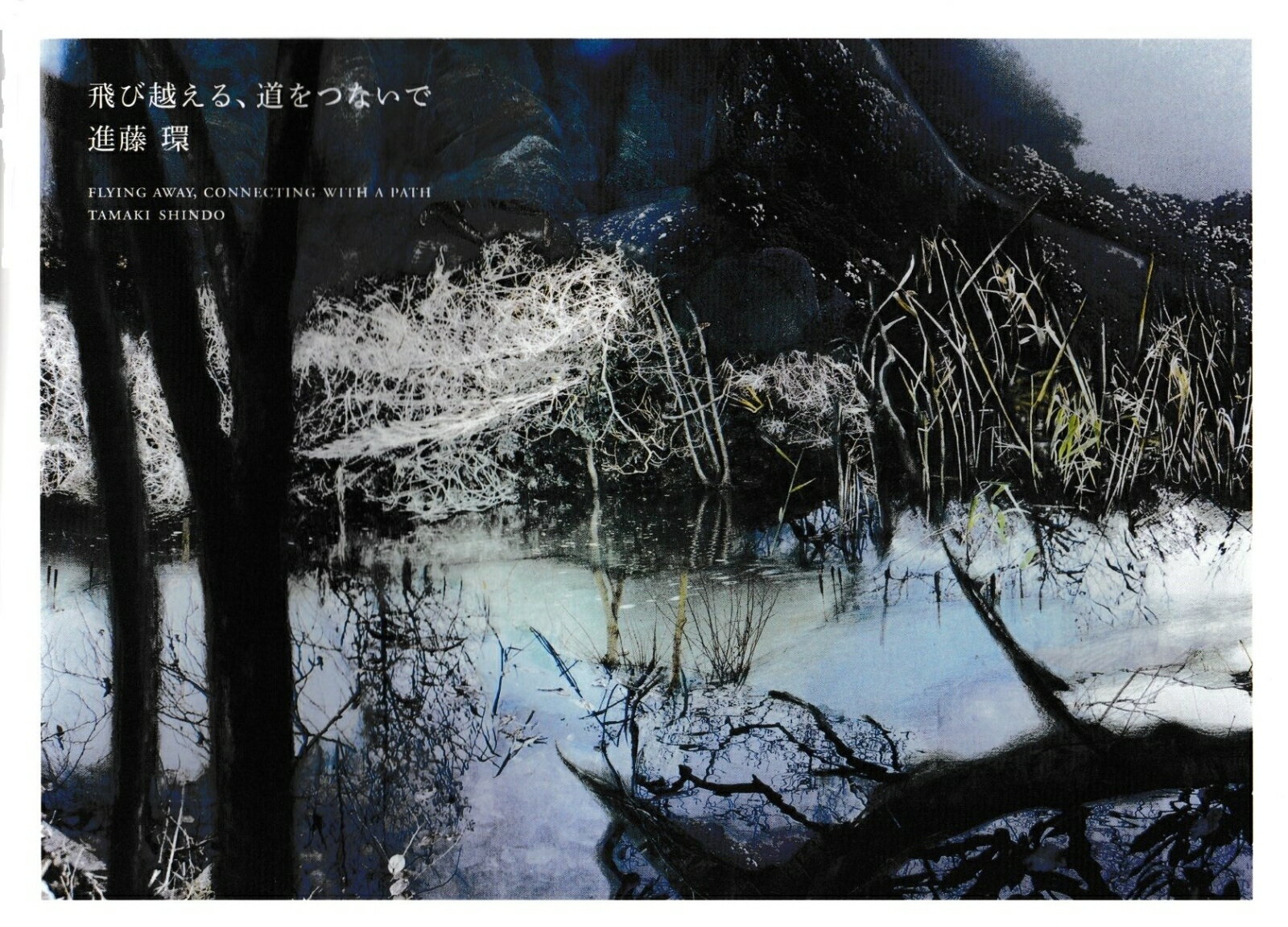 FLYNG AWAY、 CONNECTING WITH A PATH 進藤 環 ハモニカブックストビコエルミチヲツナイデ シンドウタマキ 発行年月：2014年07月18日 予約締切日：2014年07月17日 ページ数：56p サイズ：単行本...