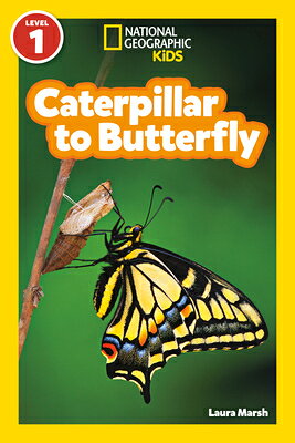 CATERPILLAR TO BUTTERFLY (NATI National Geographic Kids Readers Laura Marsh National Geographic Kids NATL GEOGRAPHIC SOC...