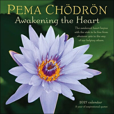 PEMA CHODRON 2027 WALL CAL Pema Chdrn Amber Lotus Publishing AMBER LOTUS2026 Wall English ISBN：9798881609283 洋書 Social S...
