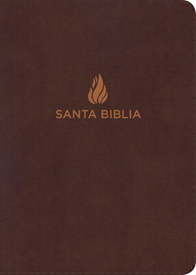 SPAーNVI BIBLIA LETRA SUPER GIG B&h Espaol Editorial BROADMAN BIBLES2018 Bonded　Leather Spanish ISBN：9781462799336 洋書 Non...