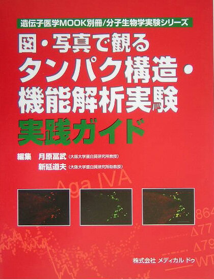 遺伝子医学MOOK別冊　分子生物学実験シリーズ 月原富武 新延道夫 メディカルドゥズ シャシン デ ミル タンパク コウゾウ キノウ カイセキ ジッケン ジッセ ツキハラ,トミタケ ニイノベ,ミチオ 発行年月：2005年07月 ページ数：2...