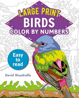 LP COLOR BY NUMBERS BIRDS Sirius Large Print Color by Numbers Collection David Woodroffe SIRIUS ENTERTAINMENT2022 Paperb...