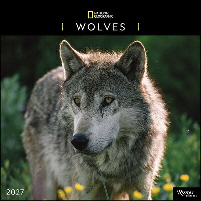 NATL GEO WOLVES 2027 WALL CAL National Geographic RIZZOLI UNIVERSE2026 Wall English ISBN：9780789349538 洋書 Computers & Sc...