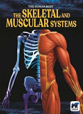 SKELETAL & MUSCULAR SYSTEMS Human Body Clare Hibbert URSA BOOKS2026 Library　Binding English ISBN：9798895779743 洋書 Books ...