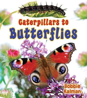 CATERPILLARS TO BUTTERFLIES It's Fun to Learn about Baby Animals Bobbie Kalman CRABTREE PUB2008 Paperback English ISBN：9...