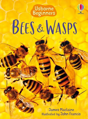 BEES & WASPS Beginners James MacLaine John Francis USBORNE BOOKS2025 Paperback English ISBN：9781835409770 洋書 Books for k...