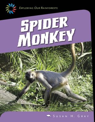 SPIDER MONKEY 21st Century Skills Library: Exploring Our Rainforests Susan H. Gray CHERRY LAKE PUB2015 Library　Binding E...